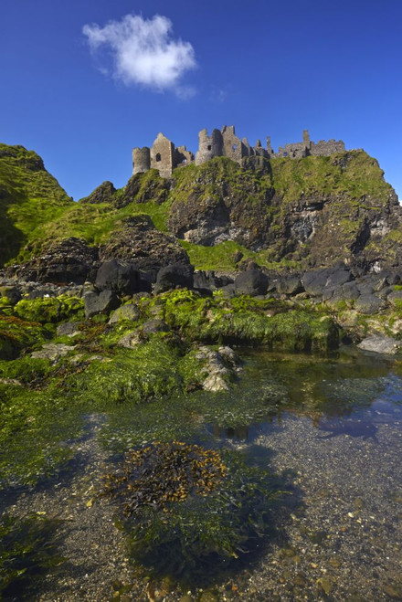 The ruins of Dunluce Castle. Poster Print by Loop Images Ltd. (12 x 18 ...