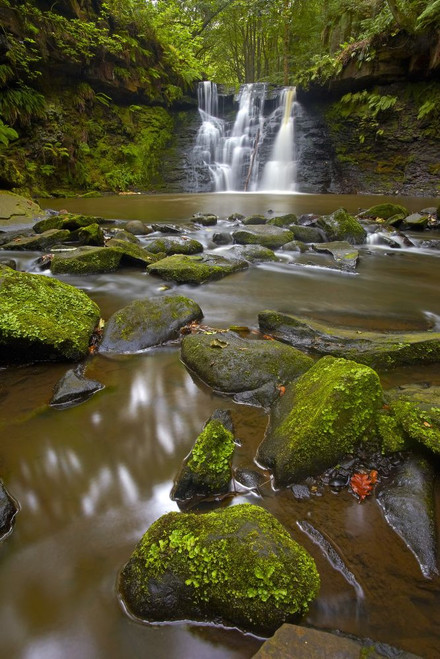 Harden Beck cascading over Goit Stock Falls in Goit Stock Wood. Poster ...