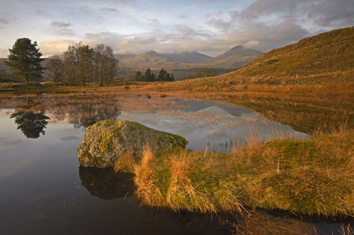 Coniston Old Man viewed from Kelly Hall Tarn. Poster Print by Loop ...