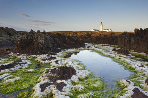 The lighthouse at Langness on the Isle Of Man. Poster Print by Loop ...