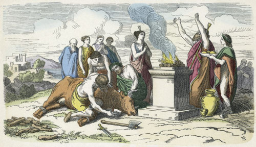 Sacrificing a bull in Ancient Greece. Late 19th century work from an ...