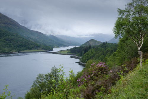 Overview of Kinlochleven. Poster Print by Loop Images Ltd. (20 x 13 ...