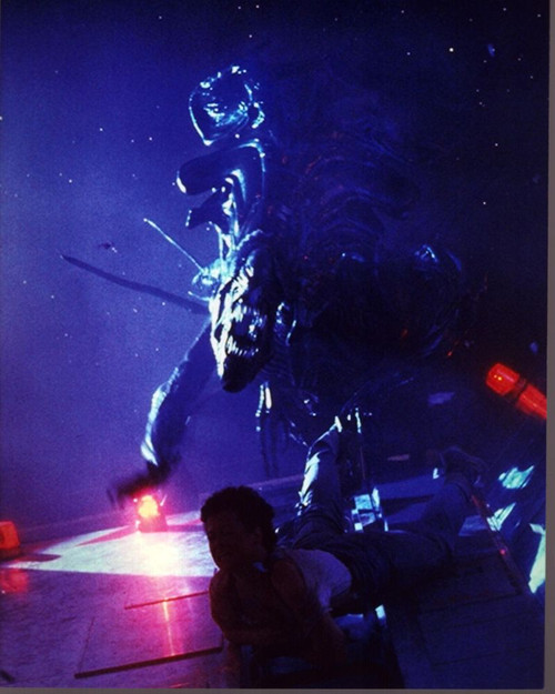 Sigourney Weaver Being Pulled By Alien In Aliens Photo Print (8 x 10 ...