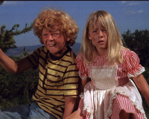 Johnny Whitaker And Jodie Foster In Napoleon And Samantha Photo Print ...