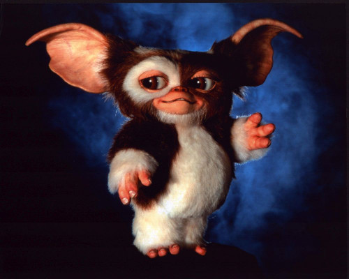 Gizmo Waving For Gremlins Photo Print (8 x 10) - Posterazzi