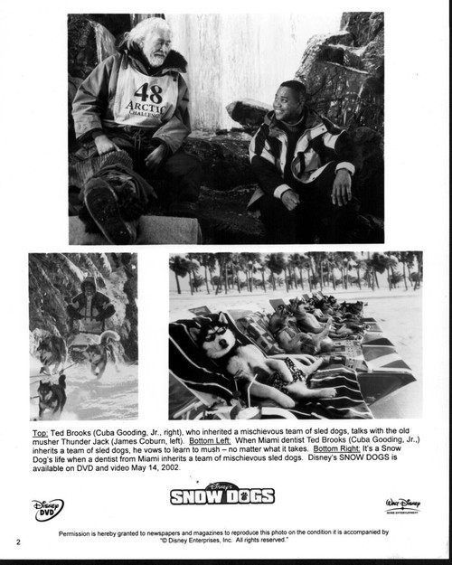 Snow Dogs Movie Summary And Dvd Ad Photo Print (8 x 10) - Posterazzi