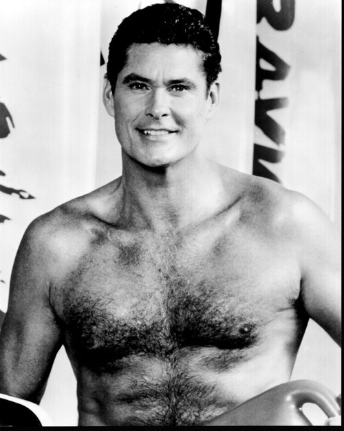 David Hasselhoff Shirtless Black And White Photo Print (8 x 10 ...