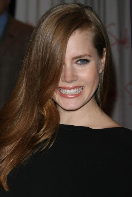 Amy Adams, 2008, Photo By John Barrett (Amy Adams2997) Poster - Posterazzi