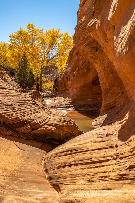 USA- Utah- Grand Staircase Escalante National Monument. Harris Wash and ...