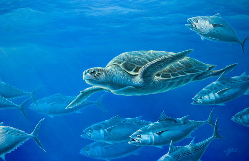 Sea Turtle Poster Print - Wilhelm Goebel - Posterazzi