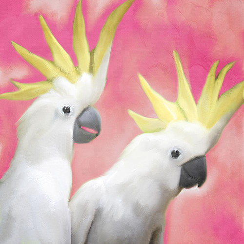 Two Cockatoo 1 Poster Print - Kimberly Allen - Posterazzi