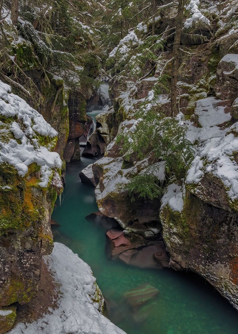 Avalanche Creek Gorge in winter in Glacier National Park-Montana-USA ...