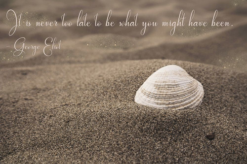 Never Too Late Poster Print - Tina Lavoie - Posterazzi