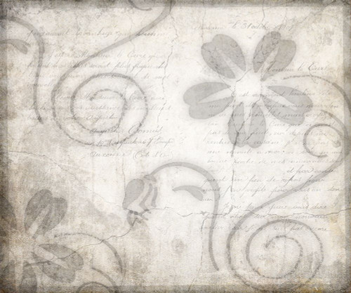 Decorative Pattern 4 Poster Print - LightBoxJournal - Posterazzi
