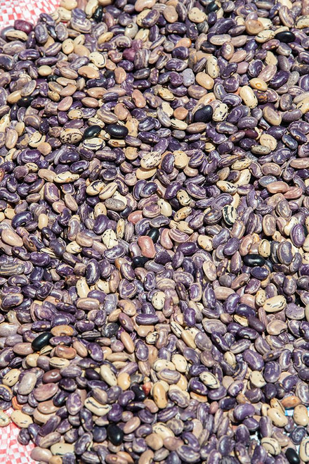 Ecuador-Quito-Otavalo-food market. Purple pinto beans. Poster Print ...