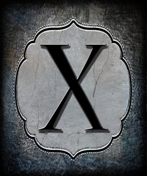 Letter X Poster Print - LightBoxJournal - Posterazzi
