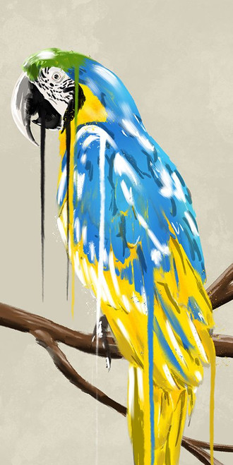 Parrot Hot Drip 2 Poster Print - Marcus Prime - Posterazzi