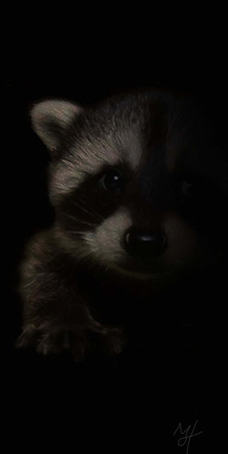 Bandit Poster Print - Henderson Fine Murray - Posterazzi