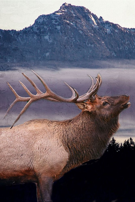 King Elk Flag Poster Print - Kimberly Allen - Posterazzi