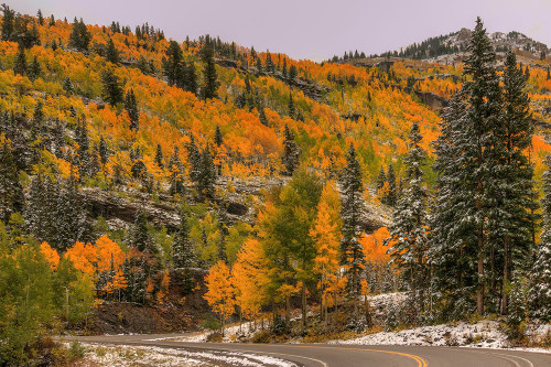 Switchback Autumn Poster Print - Bill Sherrell - Posterazzi