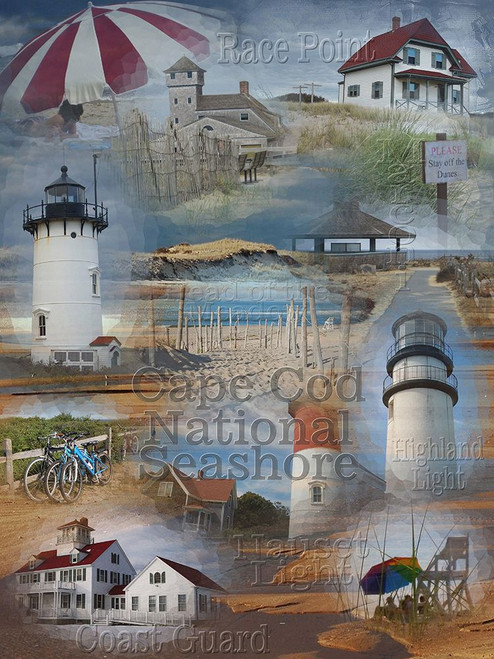 National Seashore Poster Print - GST - Posterazzi