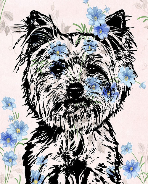 Straight On Yorkie Poster Print - Dean Russo - Posterazzi