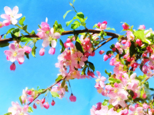 Welcome Back Spring Poster Print - GST - Posterazzi
