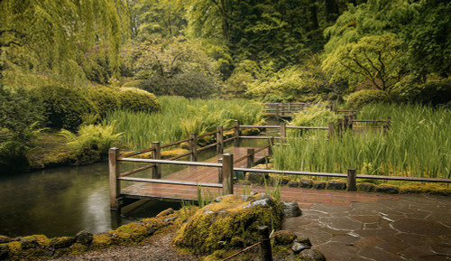 Garden Zig Zag Poster Print - Don Schwartz - Posterazzi