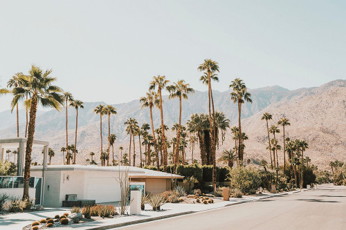 Aviva Poster Print - Krista Broadway - Posterazzi