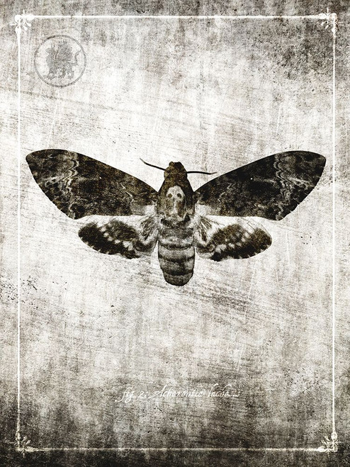 Macabre Collection F Poster Print - ArtLab GI - Posterazzi