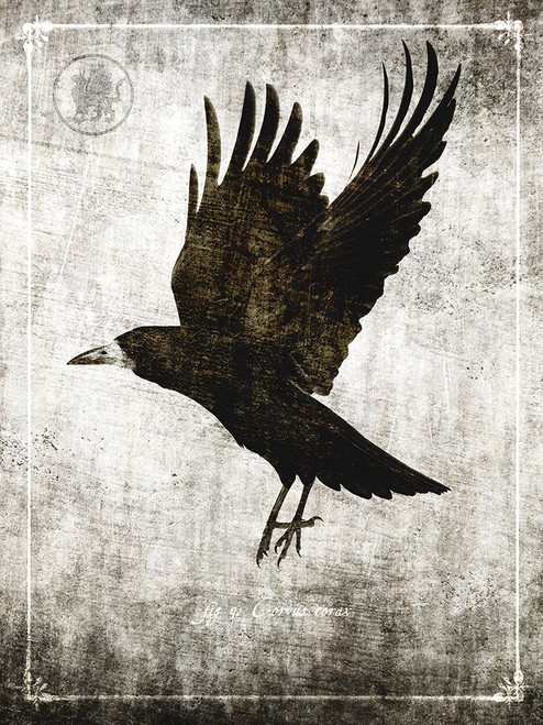 Macabre Collection C Poster Print - ArtLab GI - Posterazzi