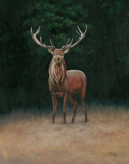 Stag Poster Print - Studio Wellington - Posterazzi