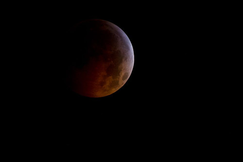 A Total Lunar Eclipse Poster Print - NASA - Posterazzi