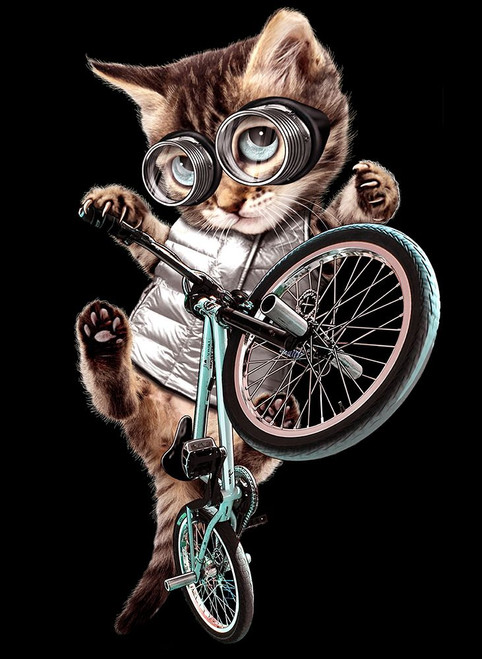 Bmx Cat Poster Print Adam Lawless Posterazzi