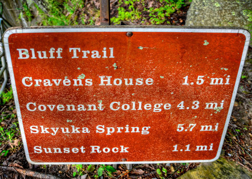 Bluff Trail Sign Poster Print - Rachel Lee - Posterazzi