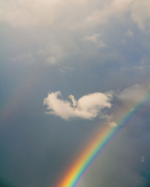 Watching From Above Poster Print - Hugo Goncalves - Posterazzi