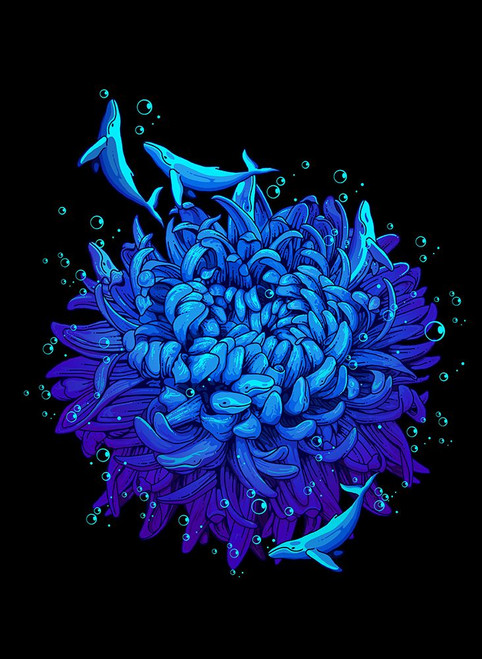 Sea Flower Poster Print Adam Lawless Posterazzi