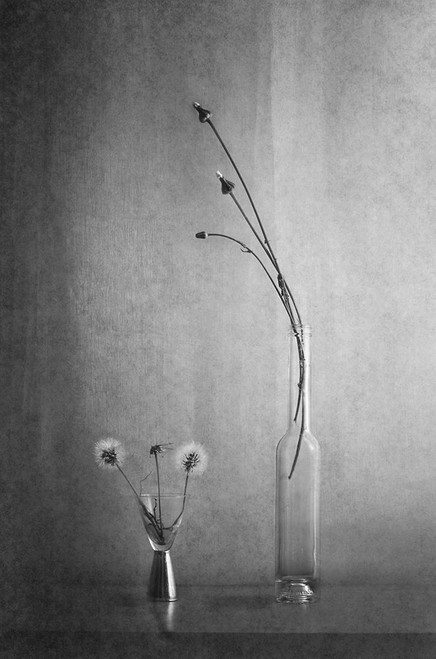 Everything changes Poster Print - Piera Polo - Posterazzi