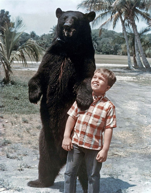 Gentle Ben, Gentle Ben, Clint Howard, 1967-69 Poster Print - Posterazzi
