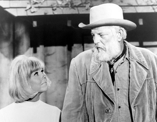 The Doris Day Show, Doris Day, Denver Pyle, 1968-73 Poster Print ...