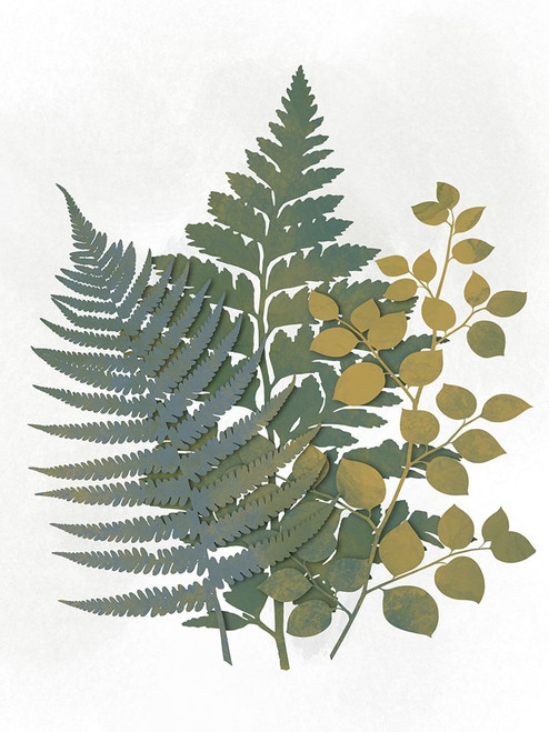 Silhouetted Vegetation 2 Poster Print - Marcus Prime # VARPDXMPRC1399B ...