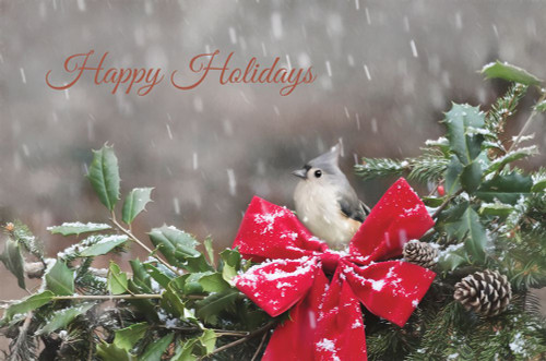 The First Snowfall Poster Print - Lori Deiter # VARPDXLD3069 - Posterazzi