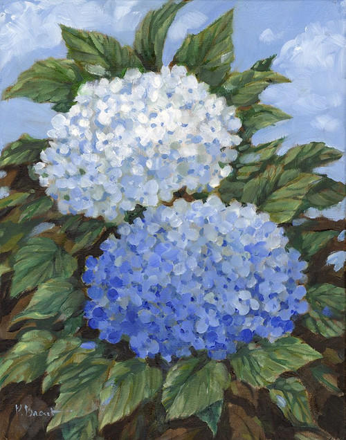 Impressions of Hydrangeas IV Poster Print - Paul Brent - Item ...