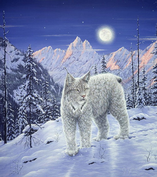 Moonlight Wilderness Poster Print - Jeff Tift (12 x 14) - Posterazzi