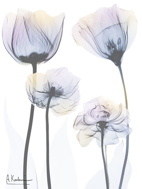 Obsequious Servant 2 Poster Print - Albert Koetsier - Posterazzi