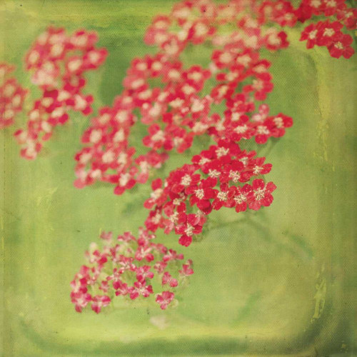 The Moment III Poster Print - Jennifer Jorgensen - Posterazzi