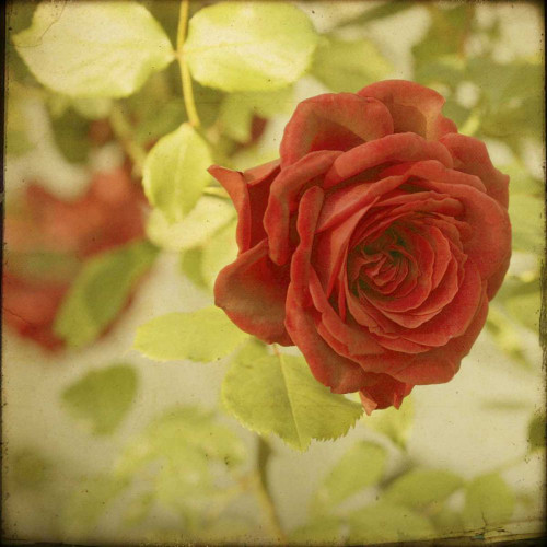 The Moment VI Poster Print - Jennifer Jorgensen - Posterazzi