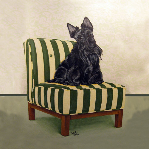 Scottie on Stripes Poster Print - Carol Dillon - Posterazzi