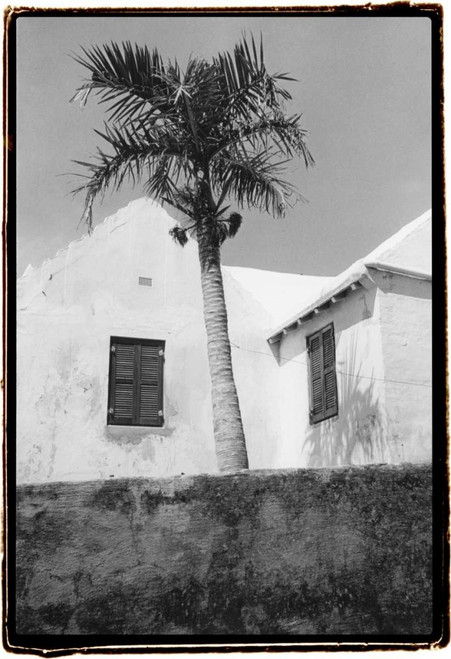 Bermuda Shade Poster Print - Laura DeNardo - Posterazzi