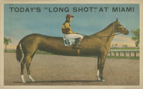 Long Shot Poster Print - Unknown - Posterazzi